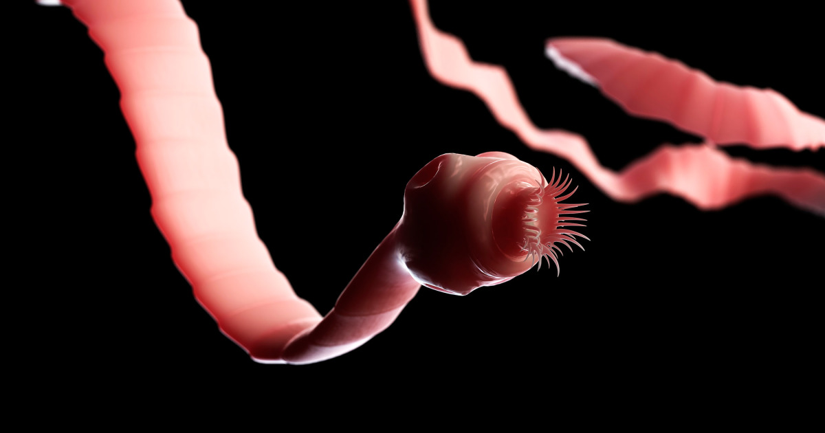 How To Prevent A Tapeworm Infection - HealthierHer.com