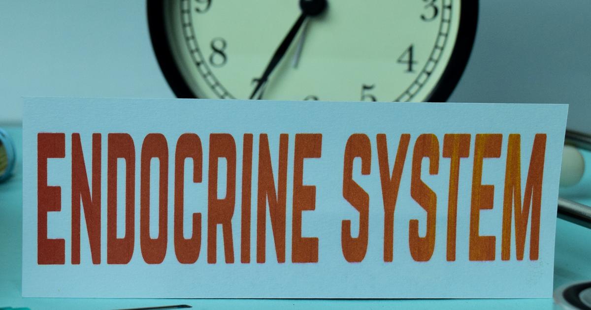 Guide To Endocrine System Diseases - HealthierHer.com