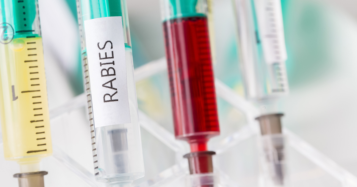 Causes And Risk Factors Of Rabies - HealthierHer.com