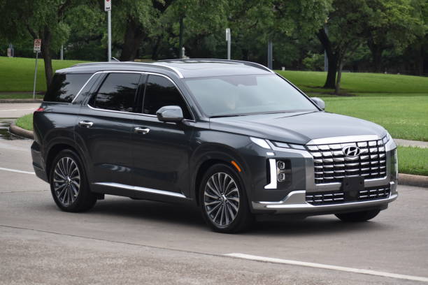 Discover the Latest Hyundai Palisade Innovations and Exclusive Offers ...