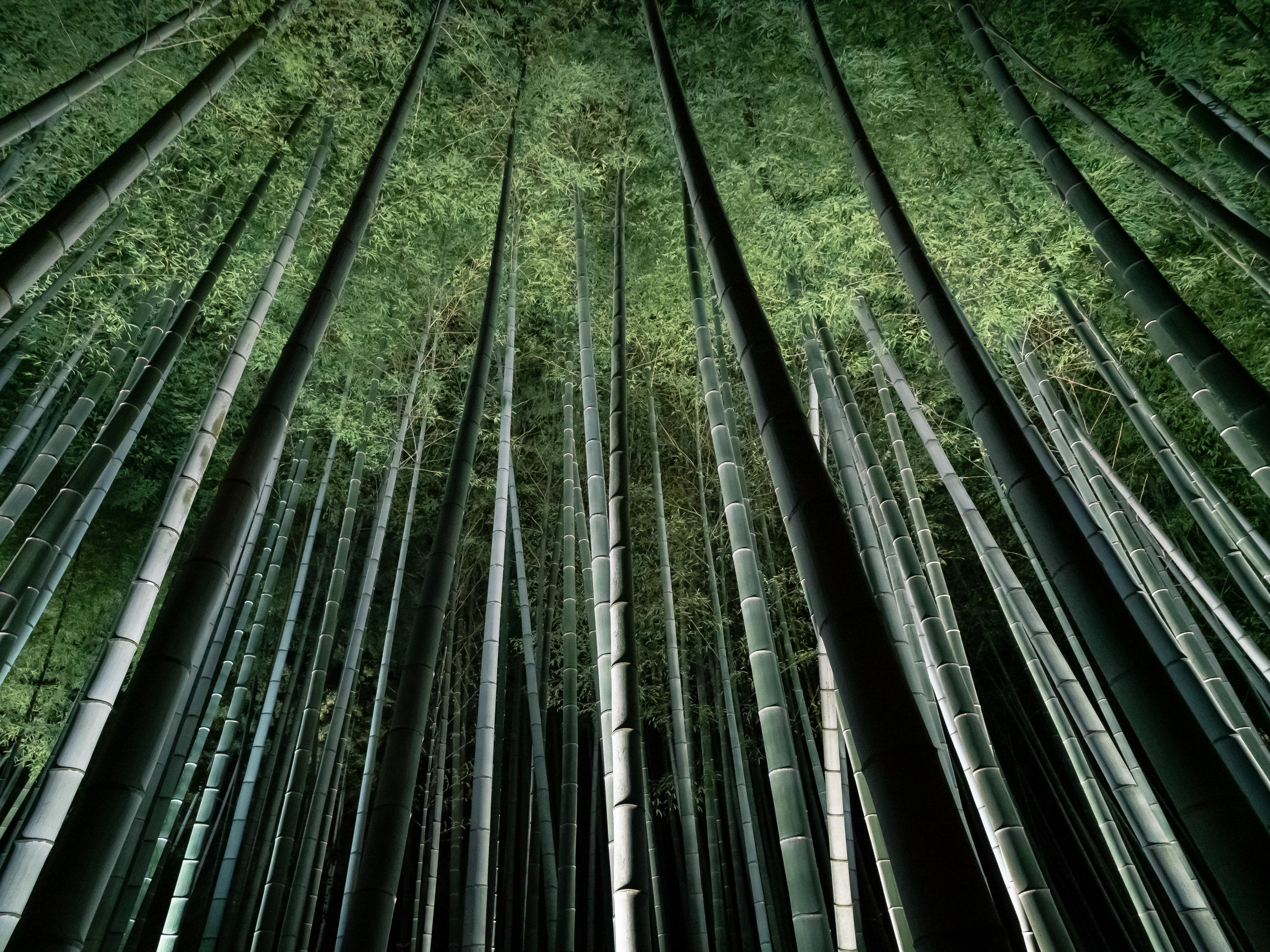 13 'Sleep Tourism' Destinations Promising the Best Rest of Your Life ...