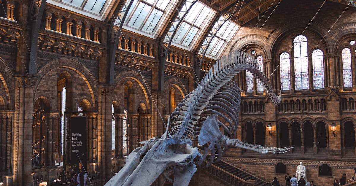 9 Educational Travel Destinations That Kids Actually Enjoy ...